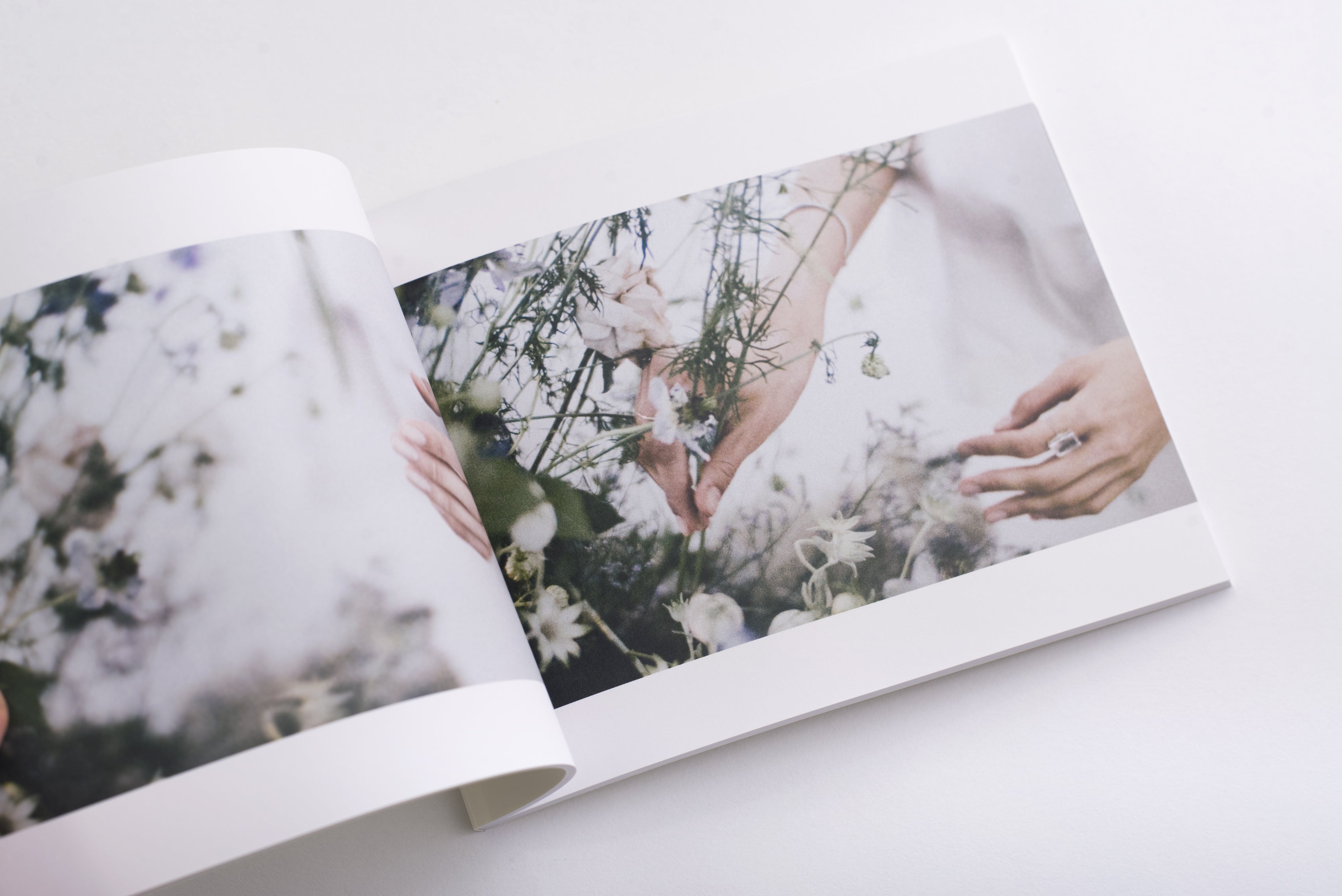 Photo / Art book – SCHOLE